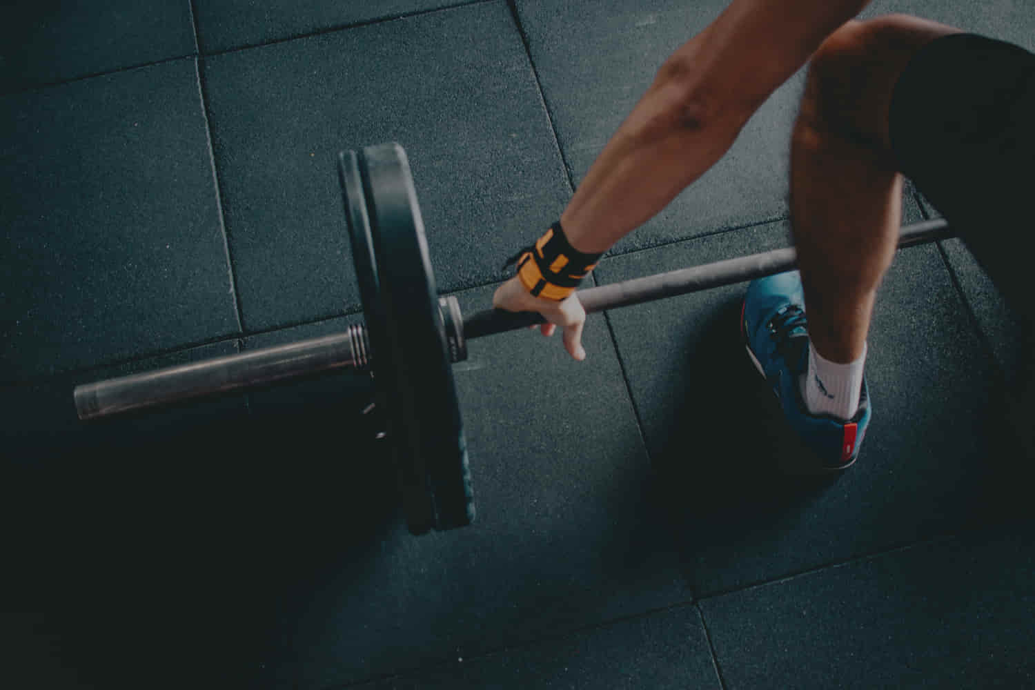 Home - iRoy Sport & Fitness